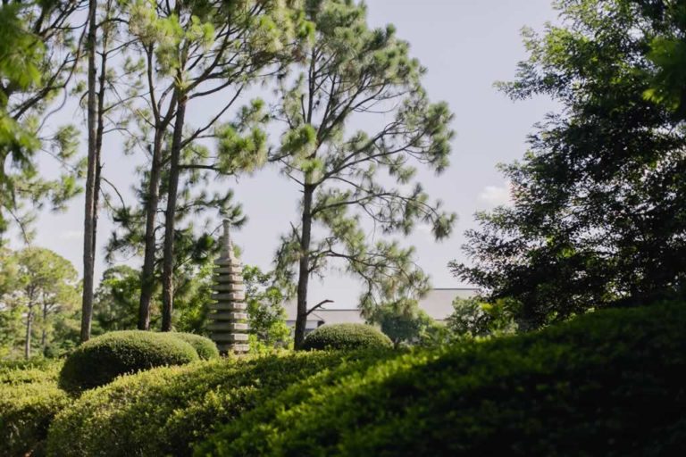 Garden Gallery – Morikami Museum and Japanese Gardens