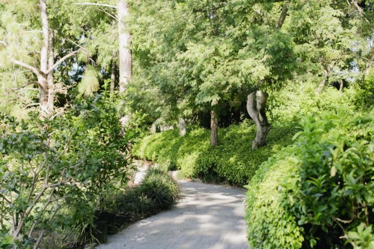 Garden Gallery – Morikami Museum and Japanese Gardens