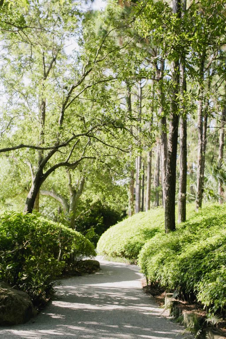 Garden Gallery – Morikami Museum and Japanese Gardens