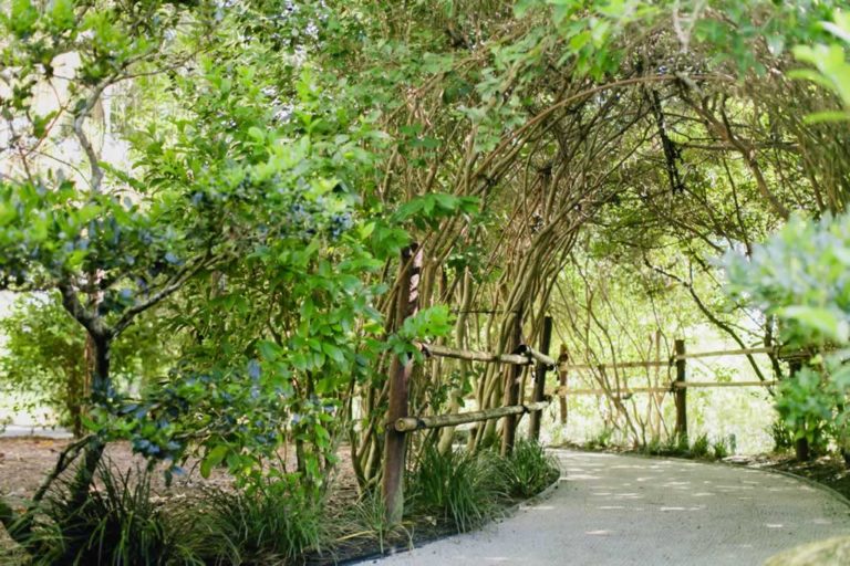 Garden Gallery – Morikami Museum and Japanese Gardens