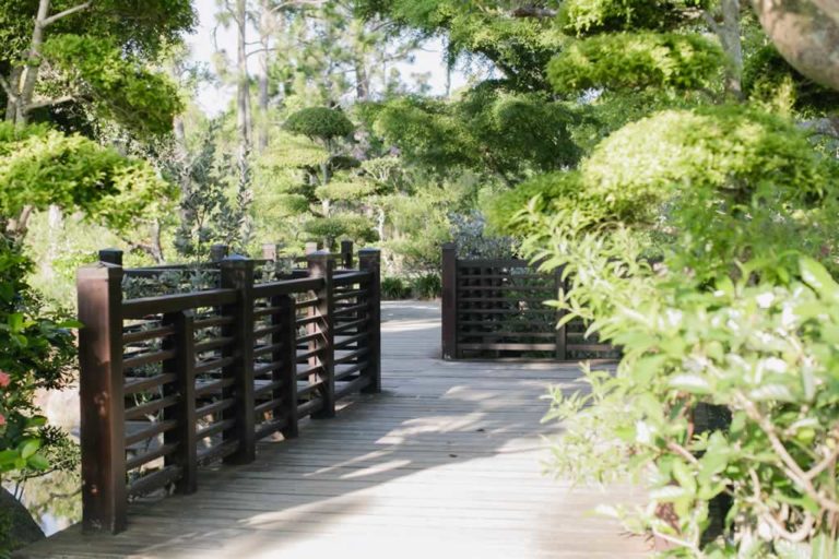 Garden Gallery – Morikami Museum and Japanese Gardens