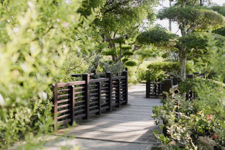 Garden Gallery – Morikami Museum and Japanese Gardens