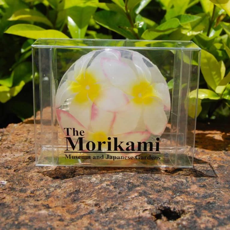 Dragon/Tiger Happi – Morikami Museum and Japanese Gardens